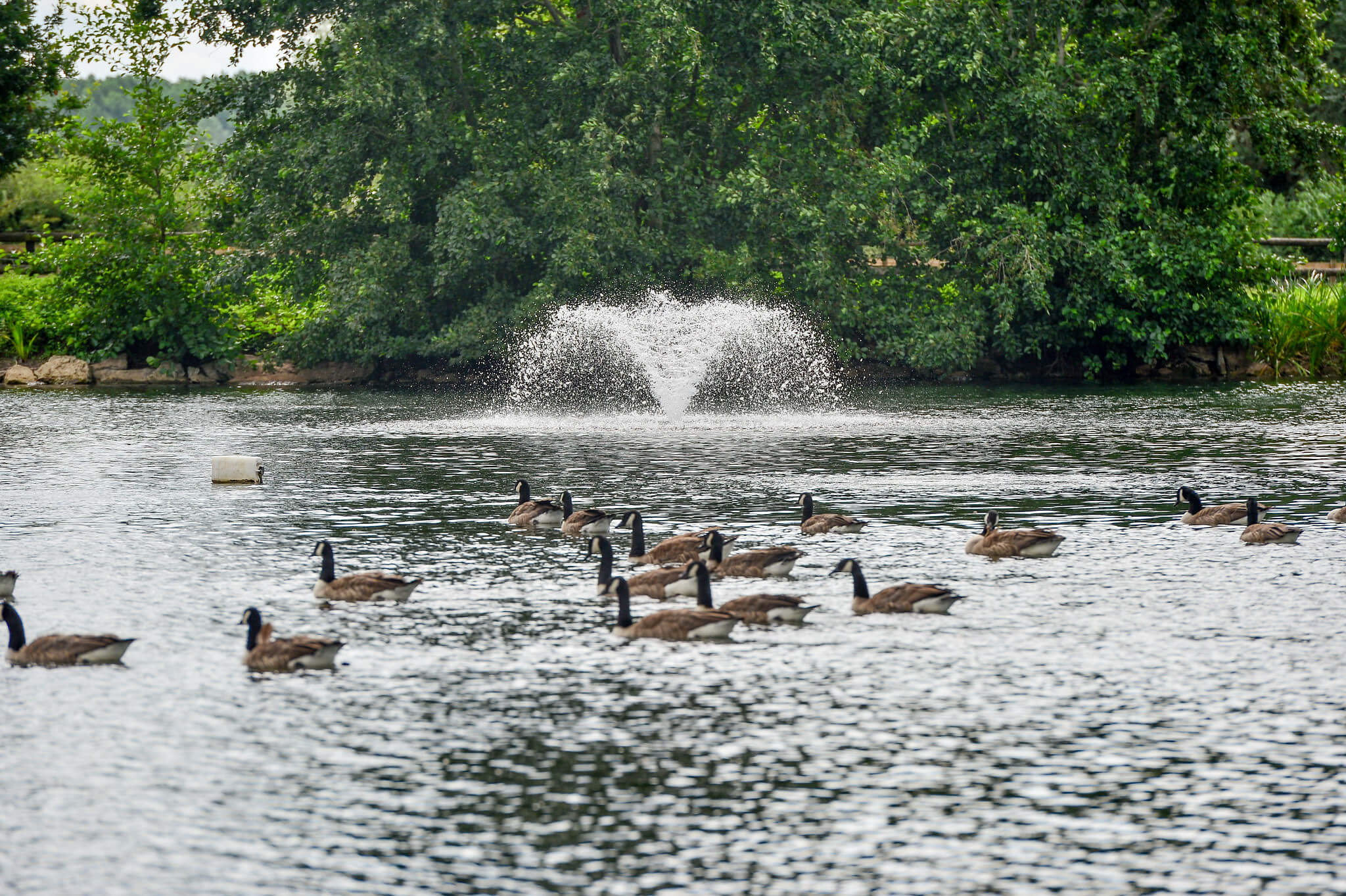 Millets Farm | Reesink Hydro-Scapes