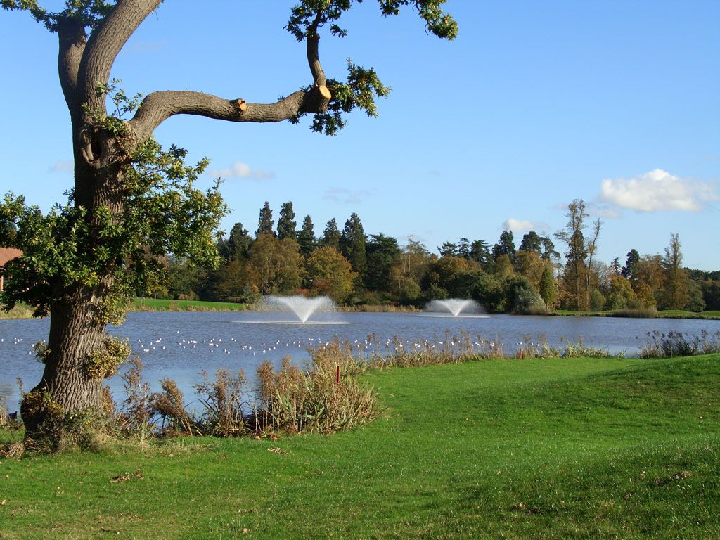 How to manage ponds and lakes sustainably | Reesink Hydro-Scapes