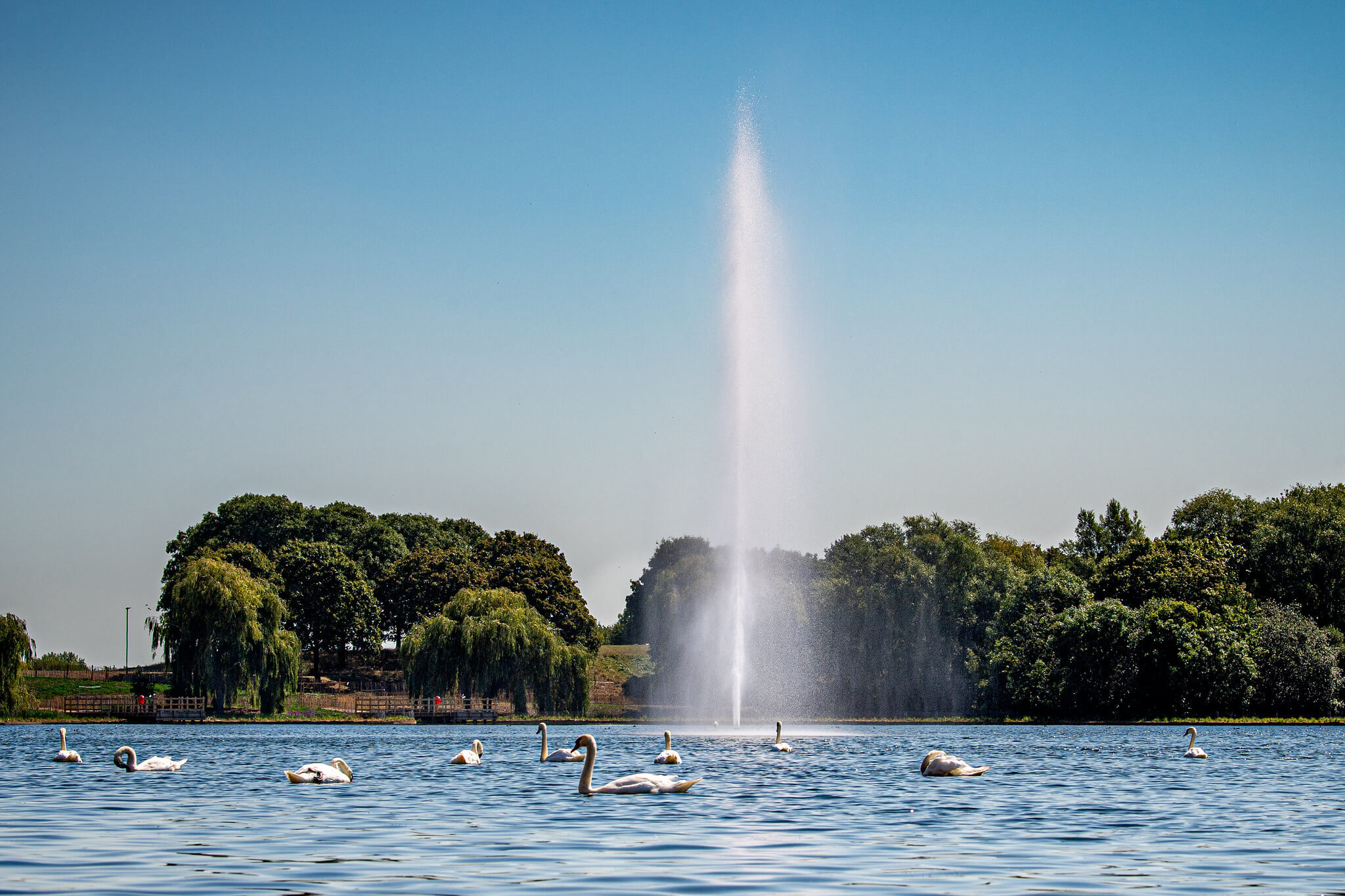 Southmere Lake | Reesink Hydro-Scapes