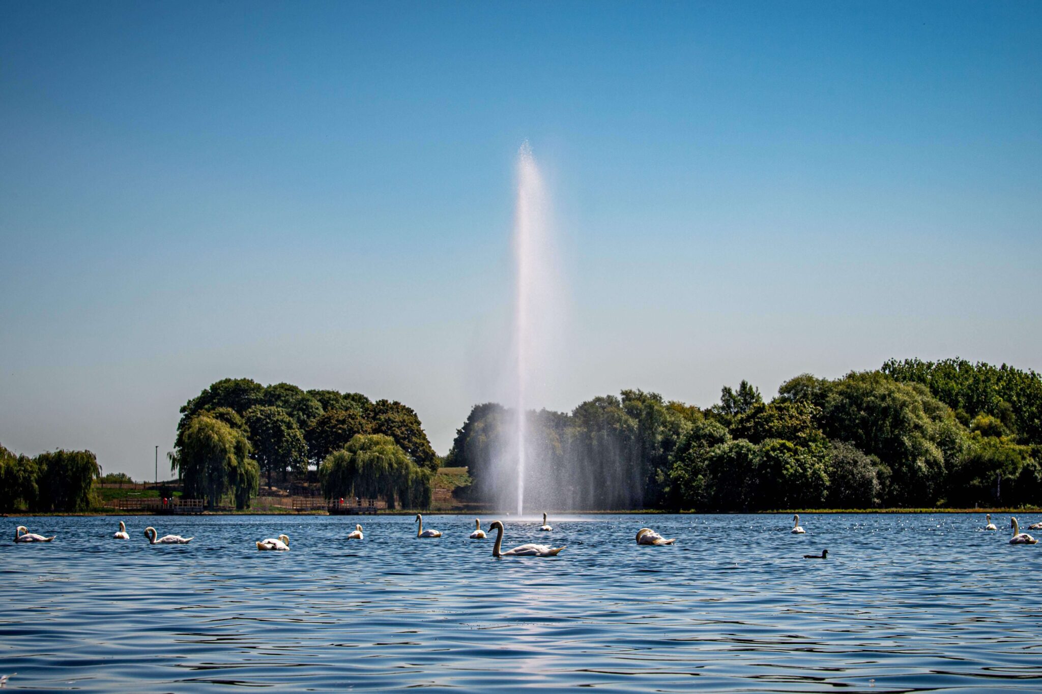 Southmere Lake | Reesink Hydro-Scapes